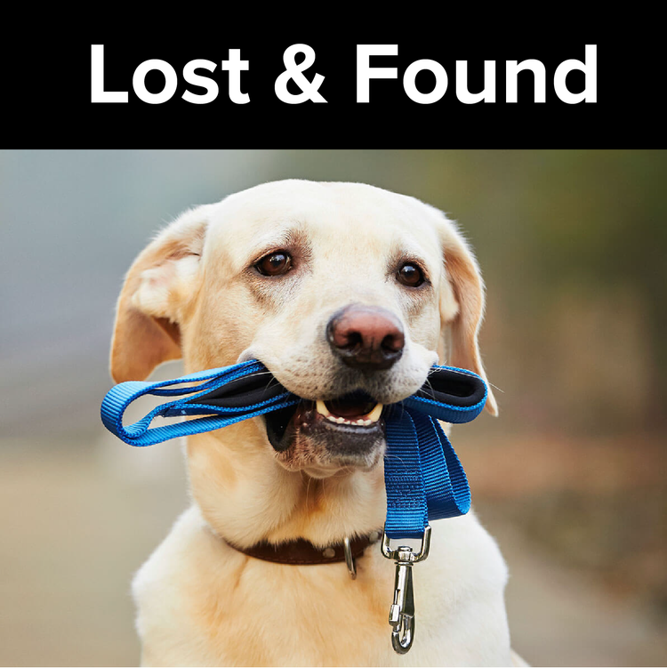 Fresno Humane Animal Services-Fresno Humane Animal Services