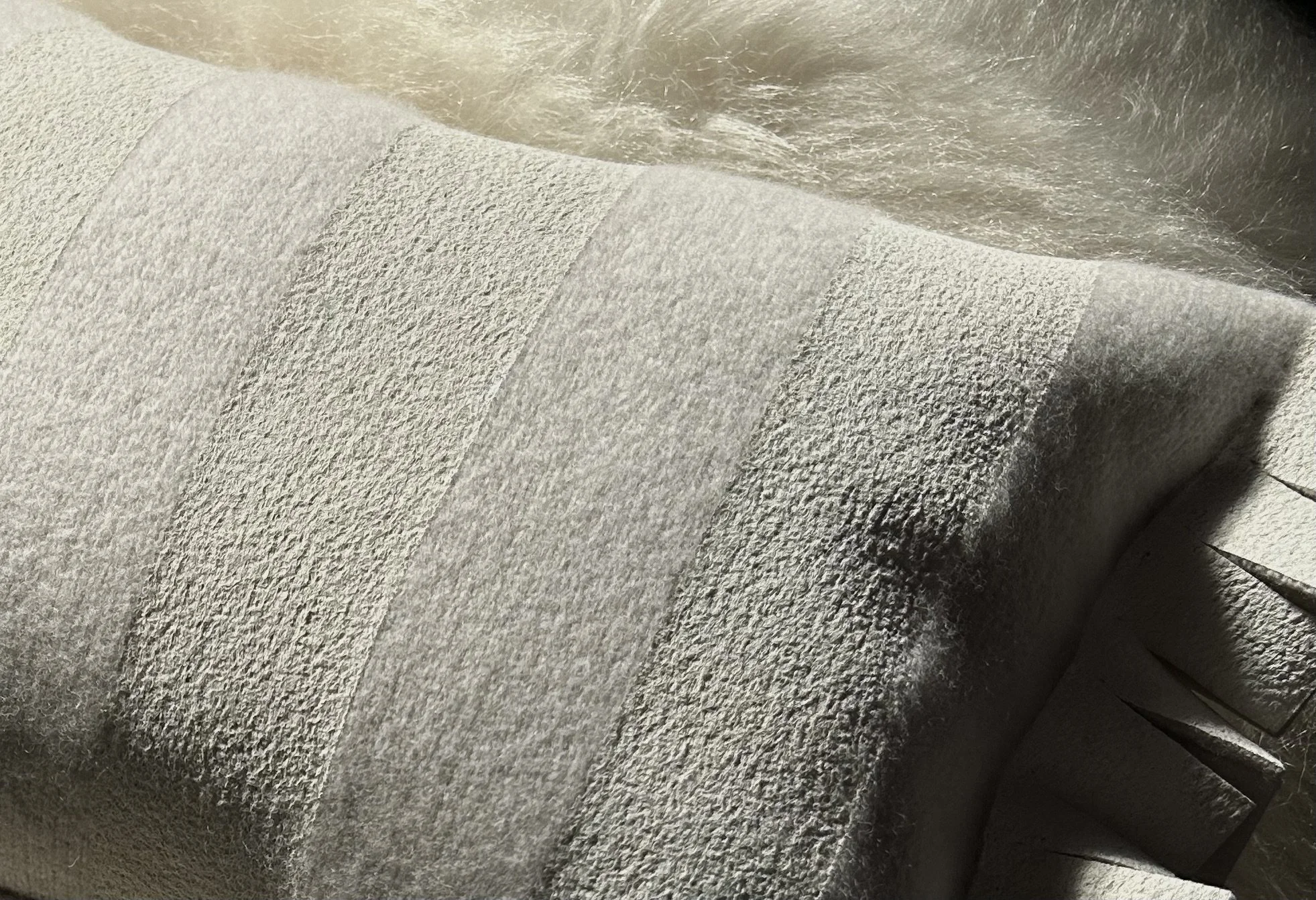 About Gemma Shepherd — SHEPHERD England | Geelong Lambswool Knitwear ...
