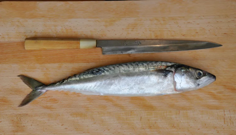 Mackerel Tutorial — Silla Bjerrum
