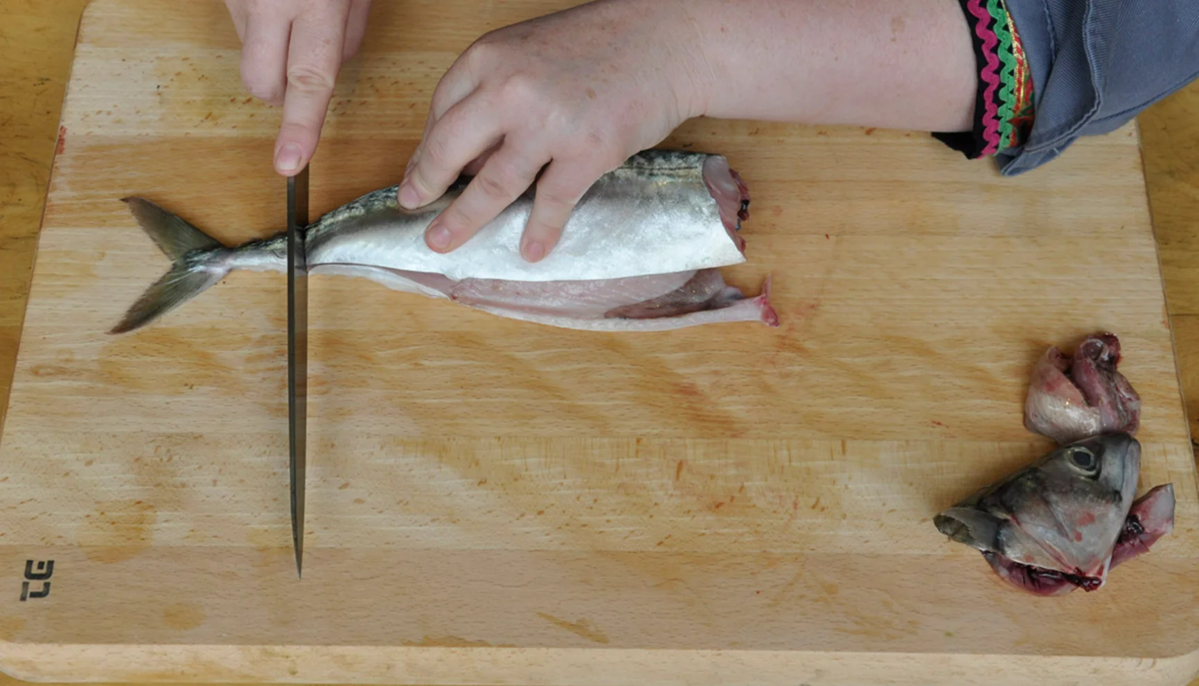 Mackerel Tutorial — Silla Bjerrum