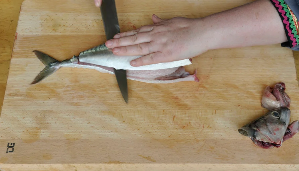 Mackerel Tutorial — Silla Bjerrum