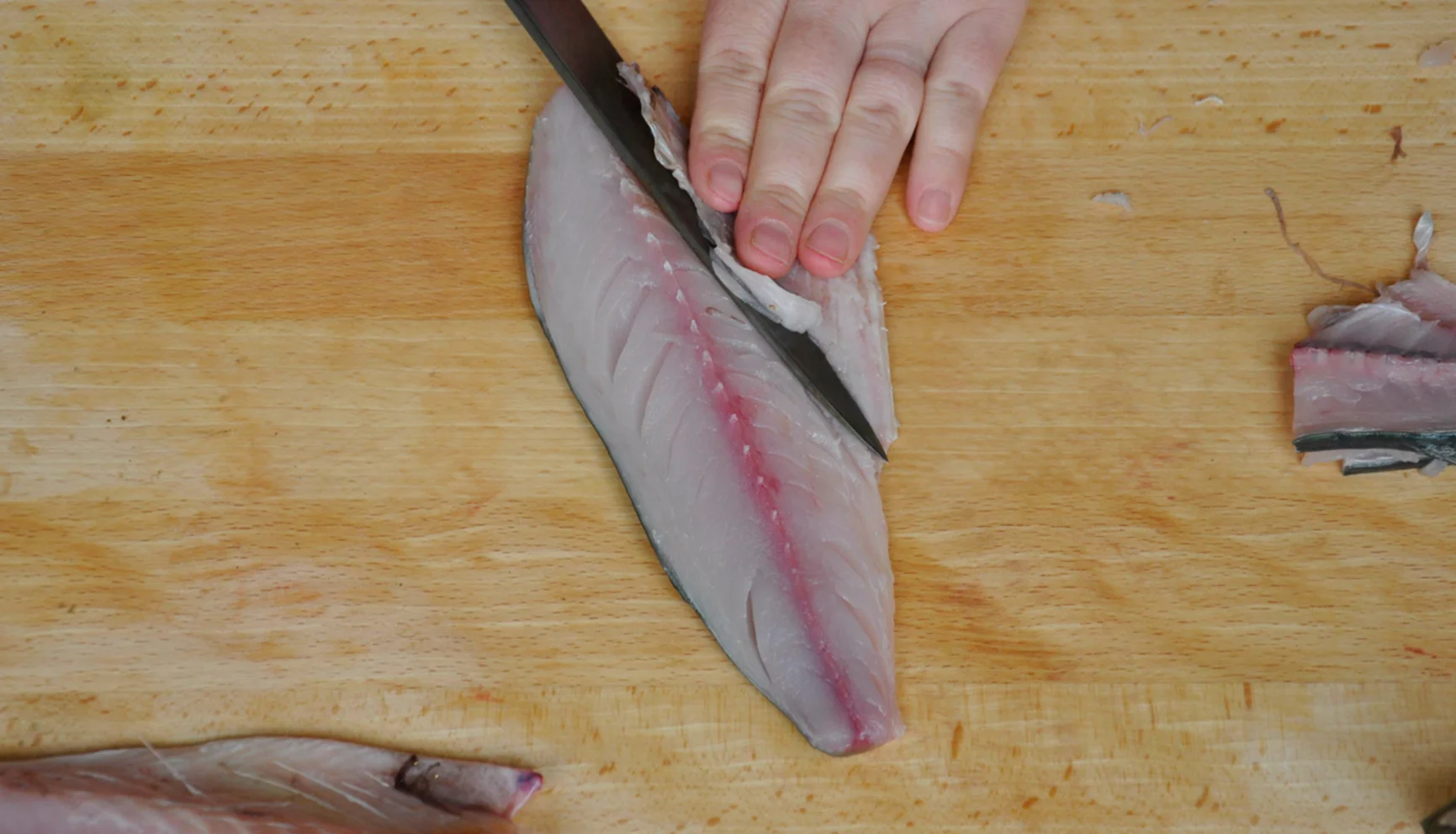 Mackerel Tutorial — Silla Bjerrum