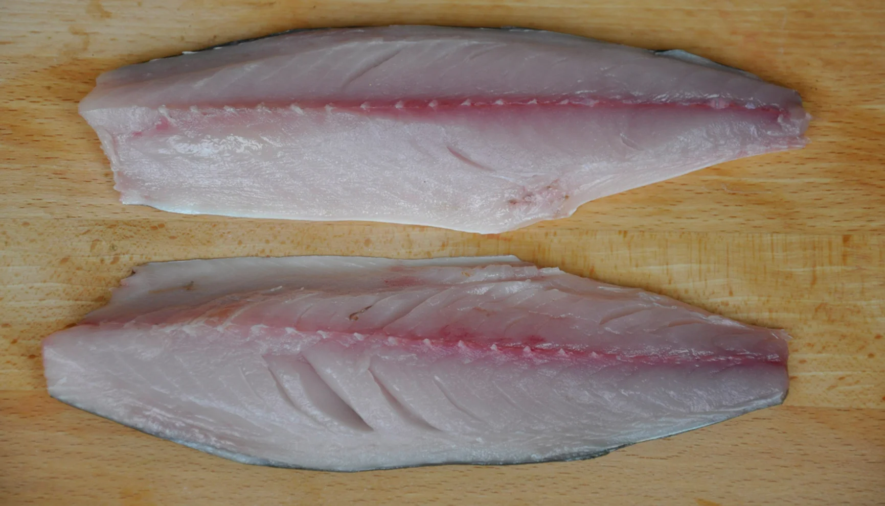 Mackerel Tutorial — Silla Bjerrum