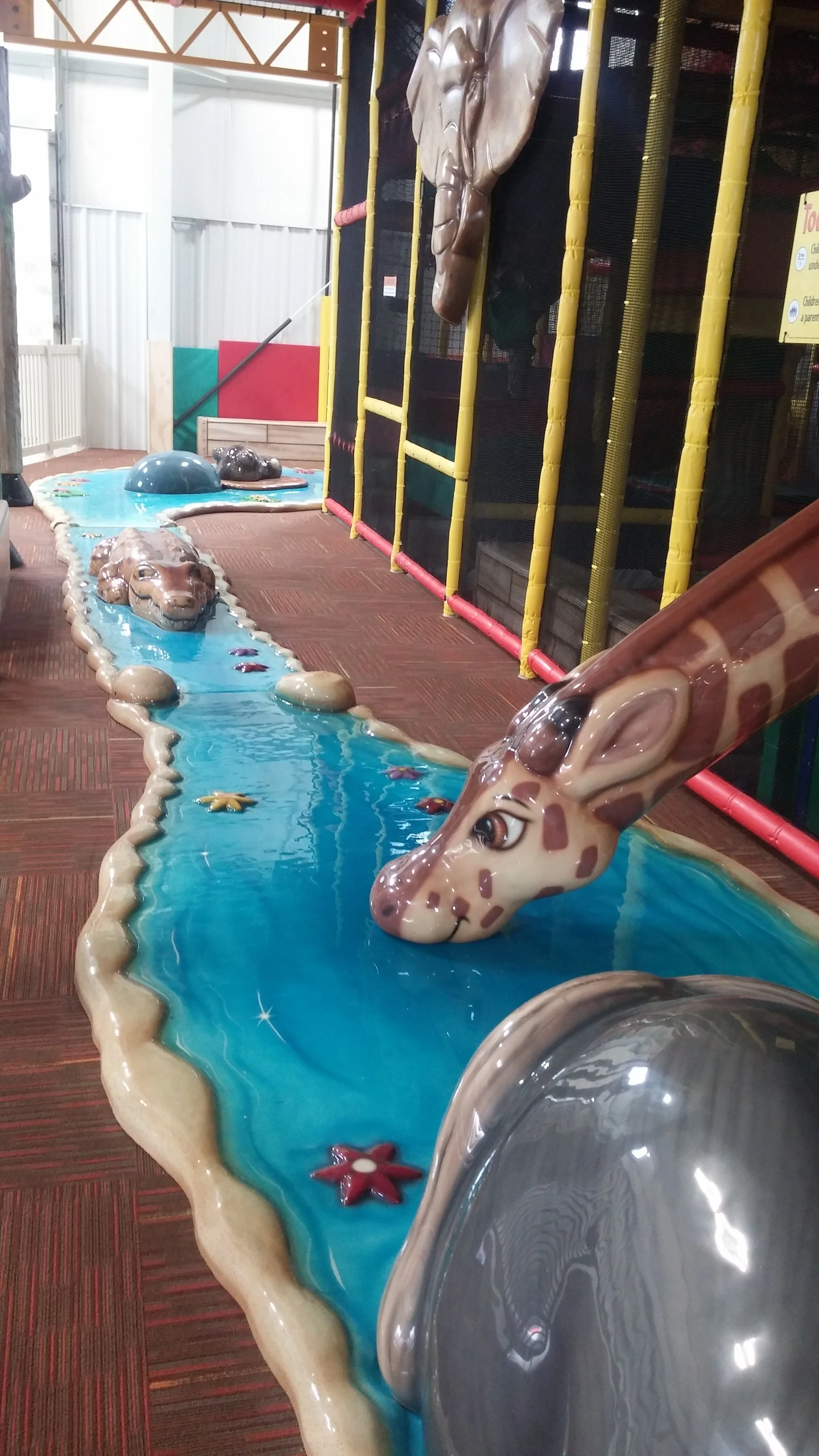 Photos — Jungle Junction