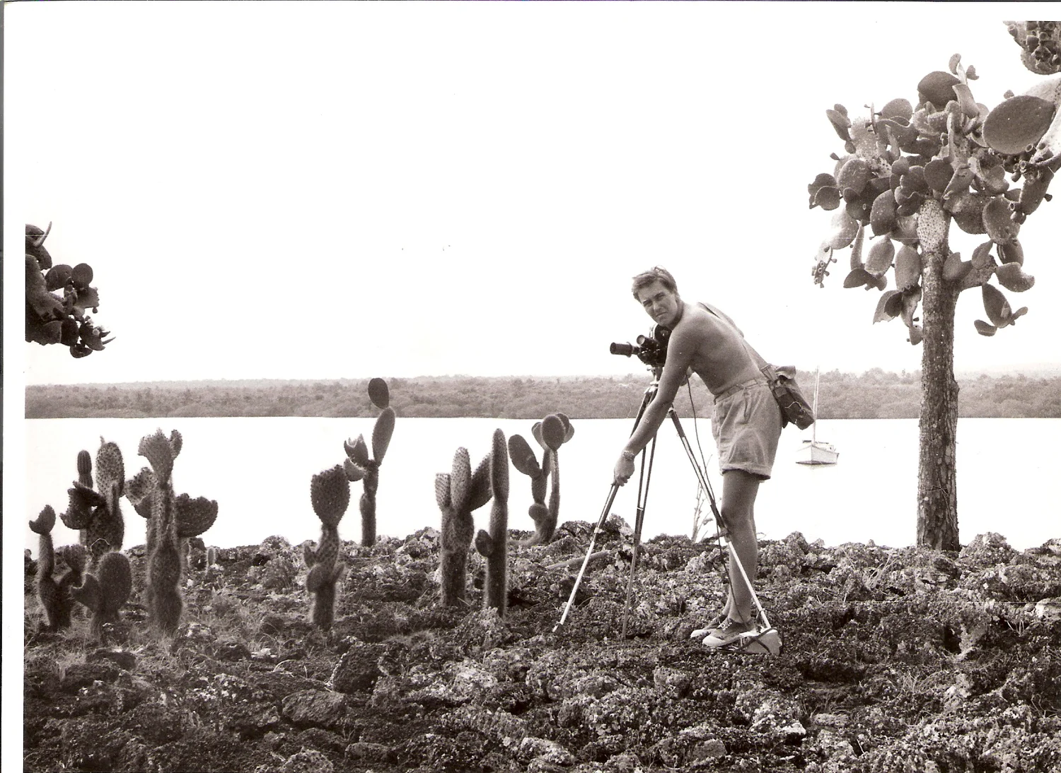 Bio Timeline — Tony Soper