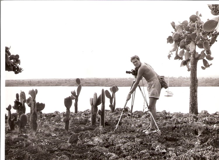 Bio Timeline — Tony Soper