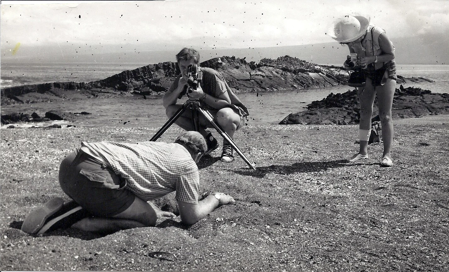 Bio Timeline — Tony Soper