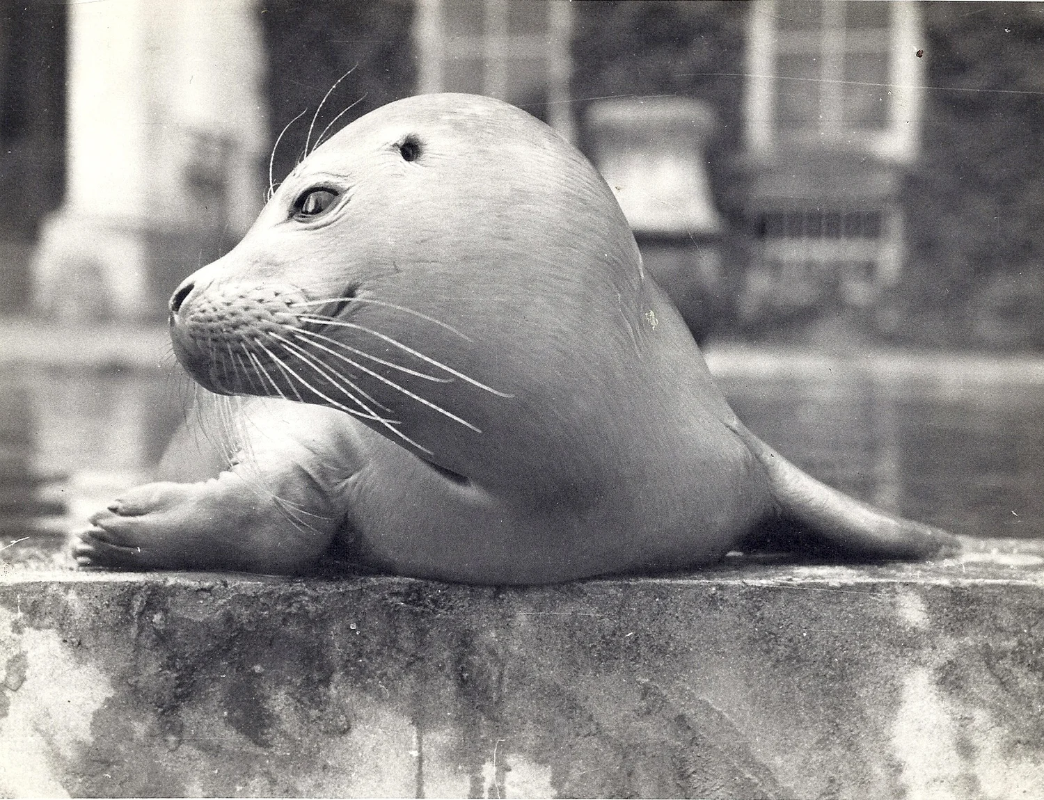 Bio Timeline — Tony Soper