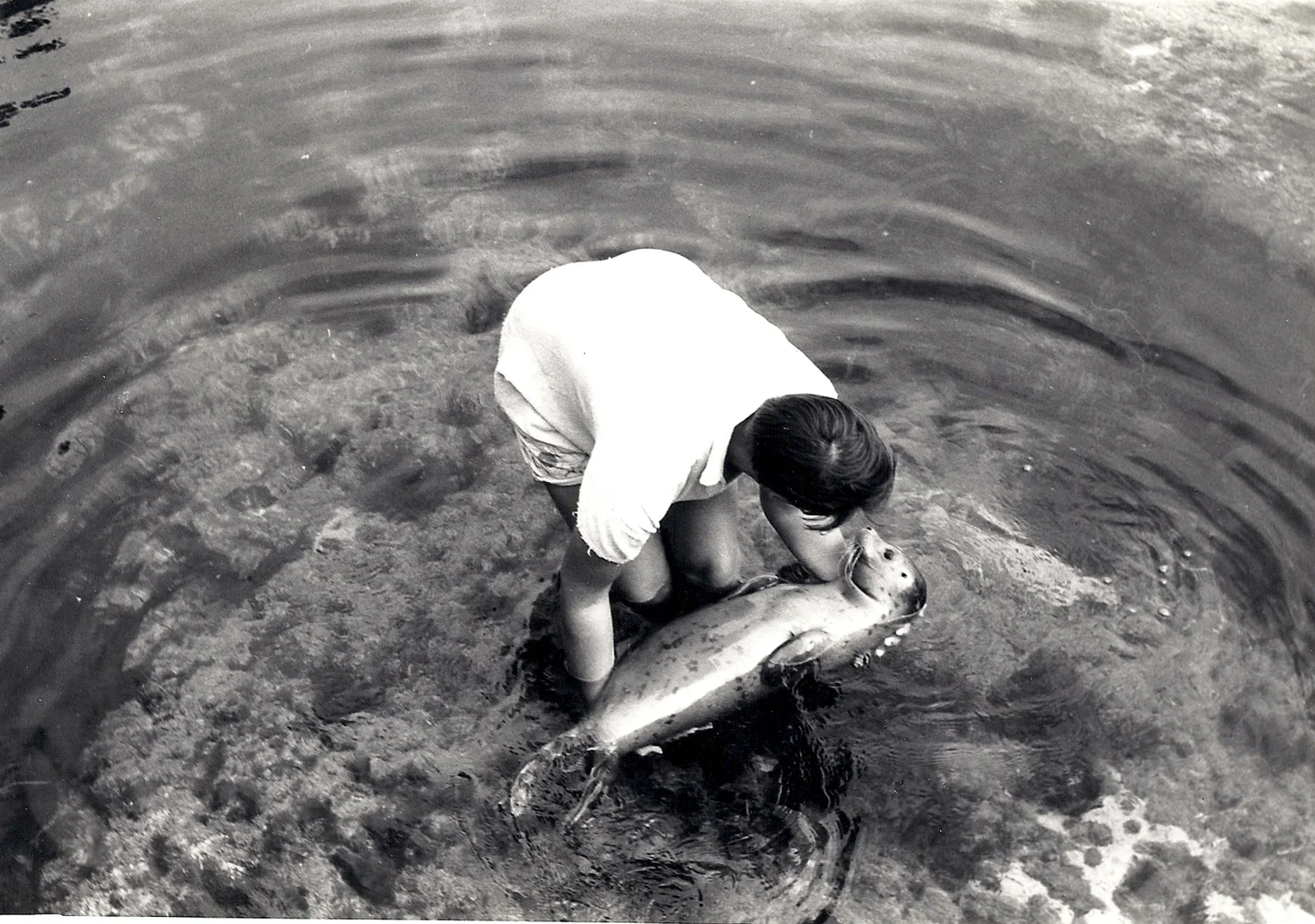 Bio Timeline — Tony Soper