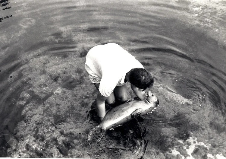 Bio Timeline — Tony Soper