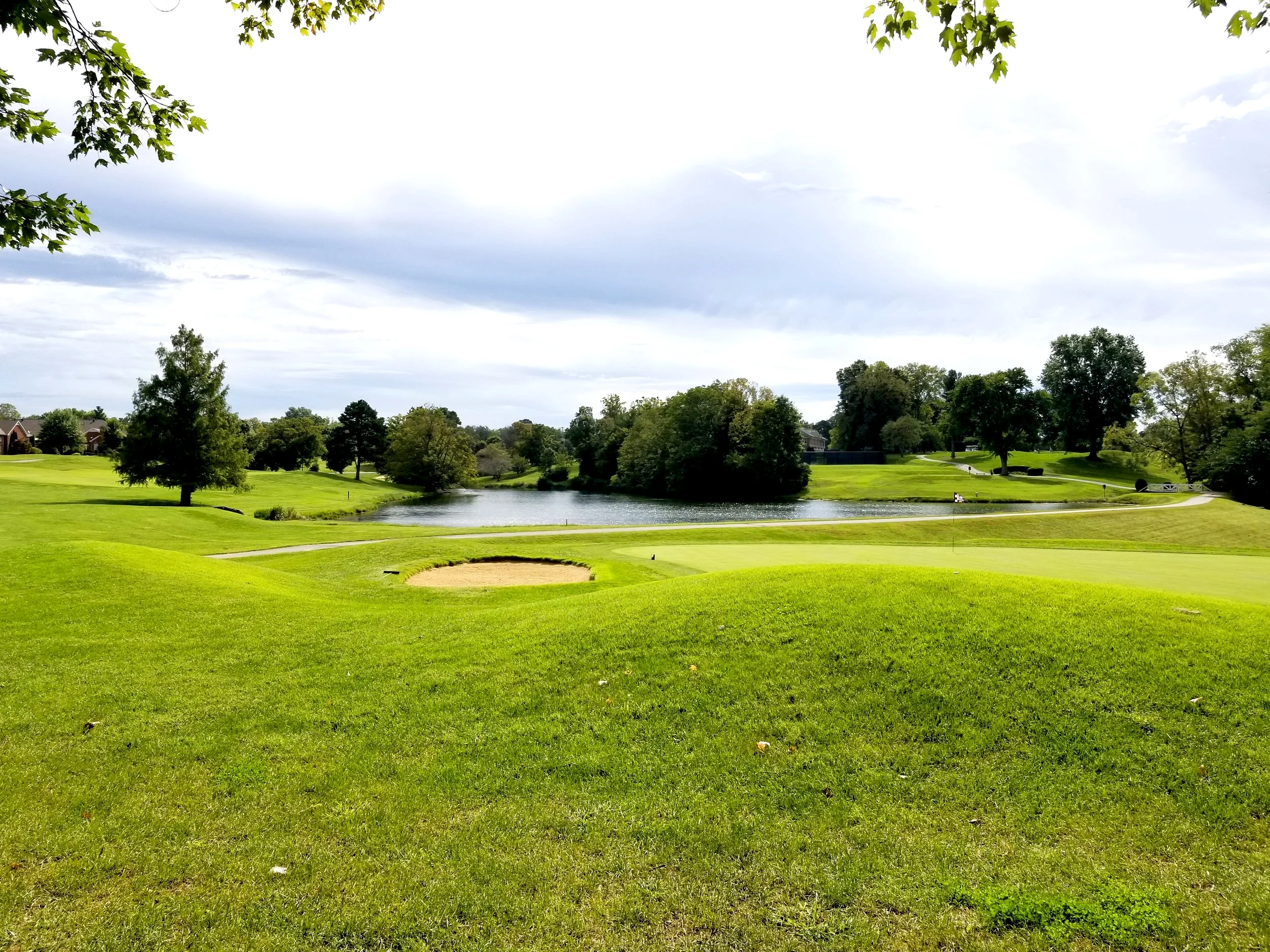 Golf — Standard Club