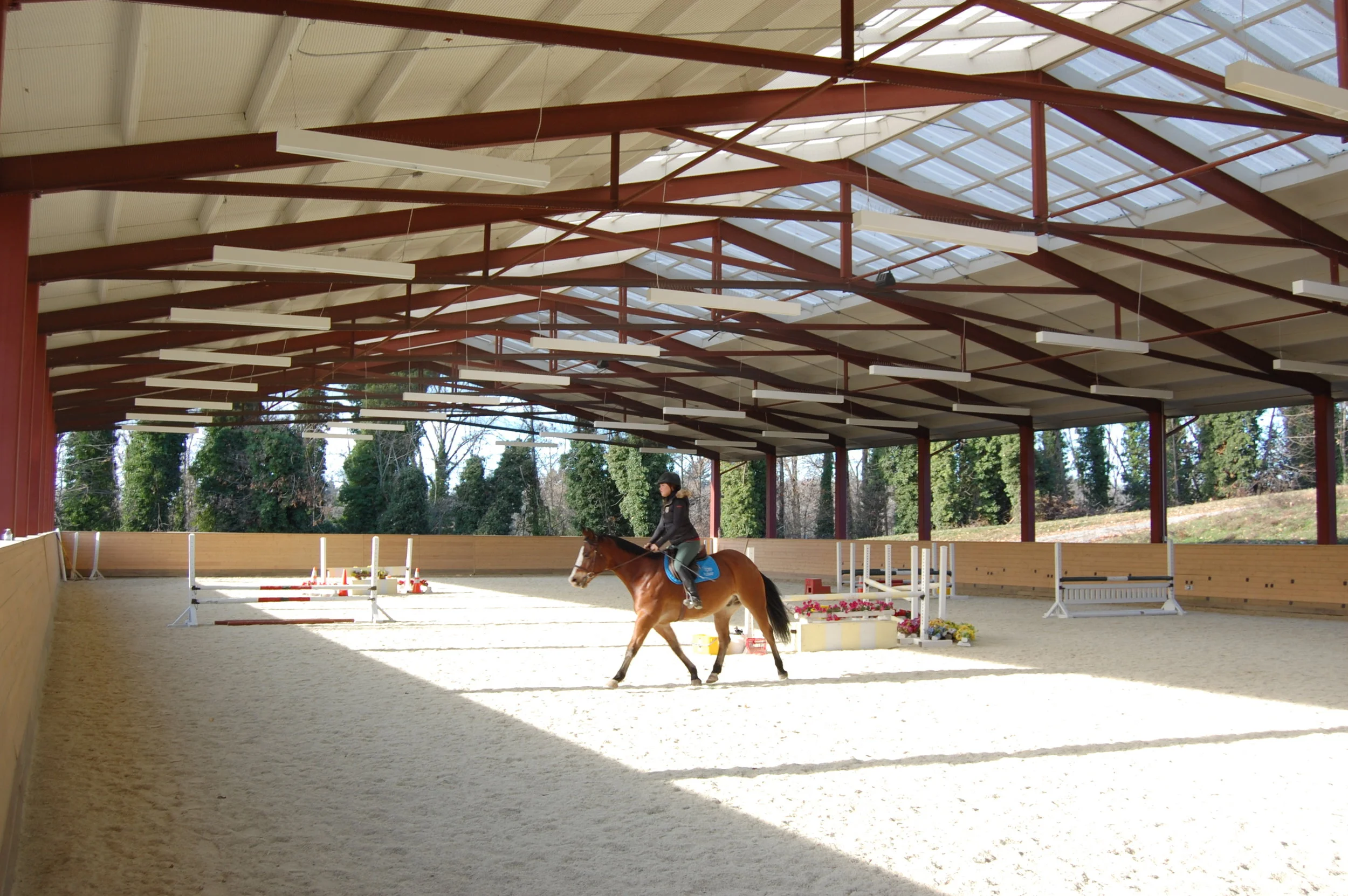 seattle riding arena — McCLELLAN | TELLONE
