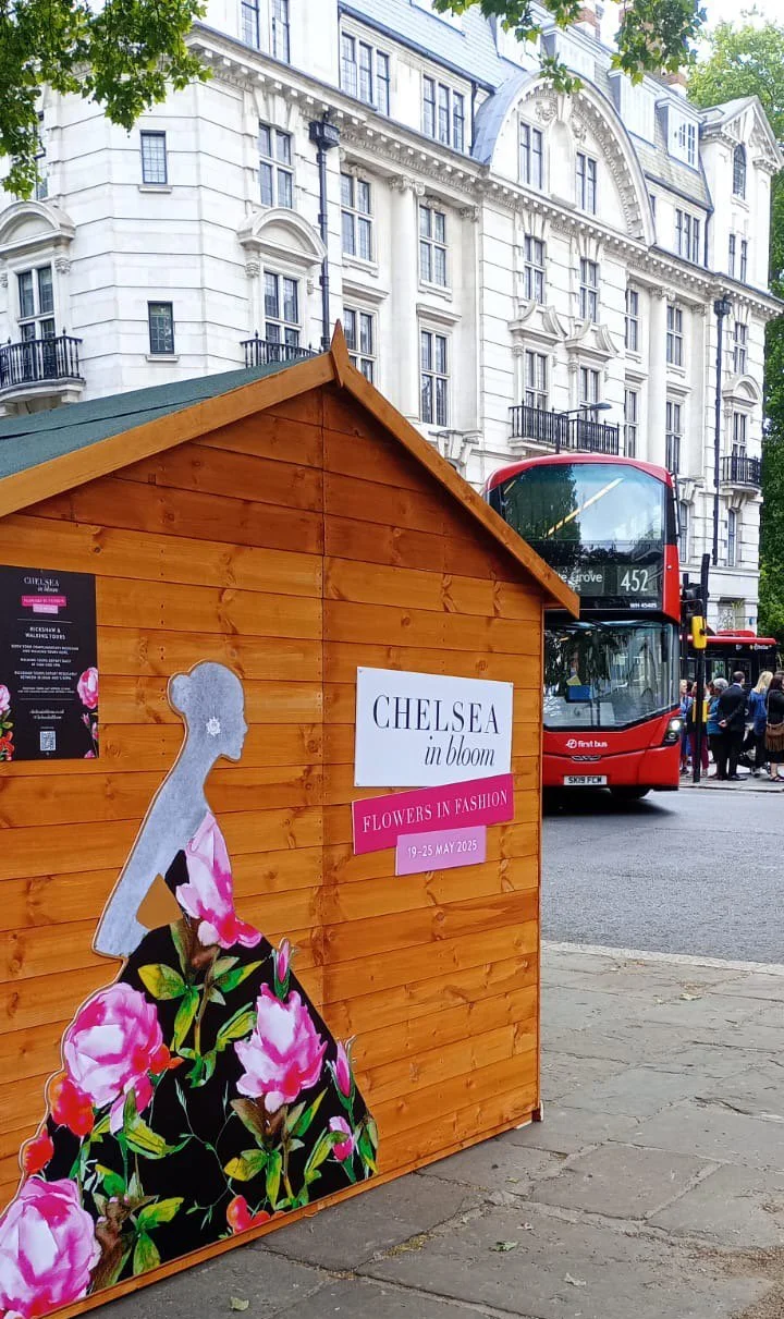 Recent Work — Jessica Durrant Illustration