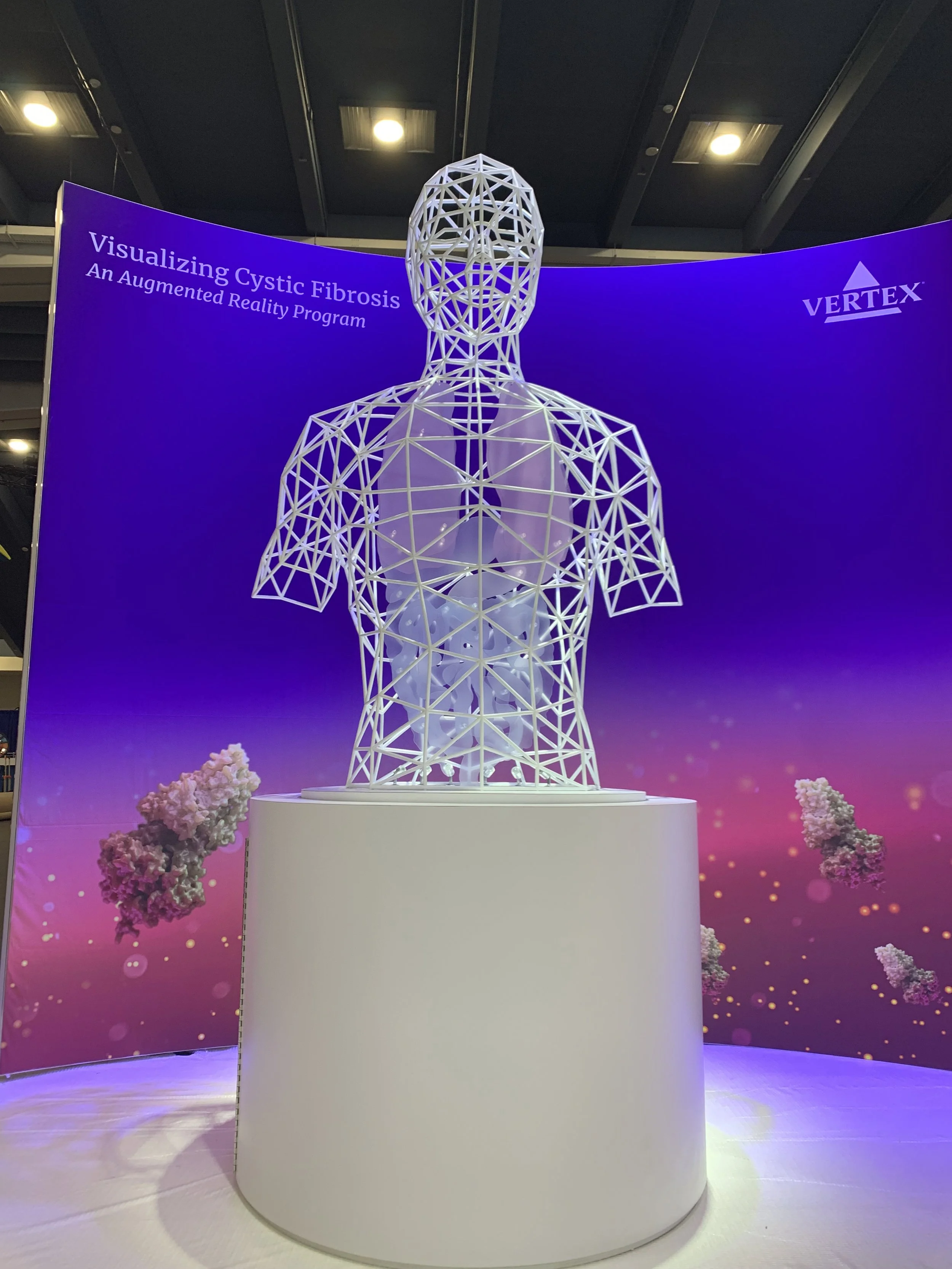 California Model & Design