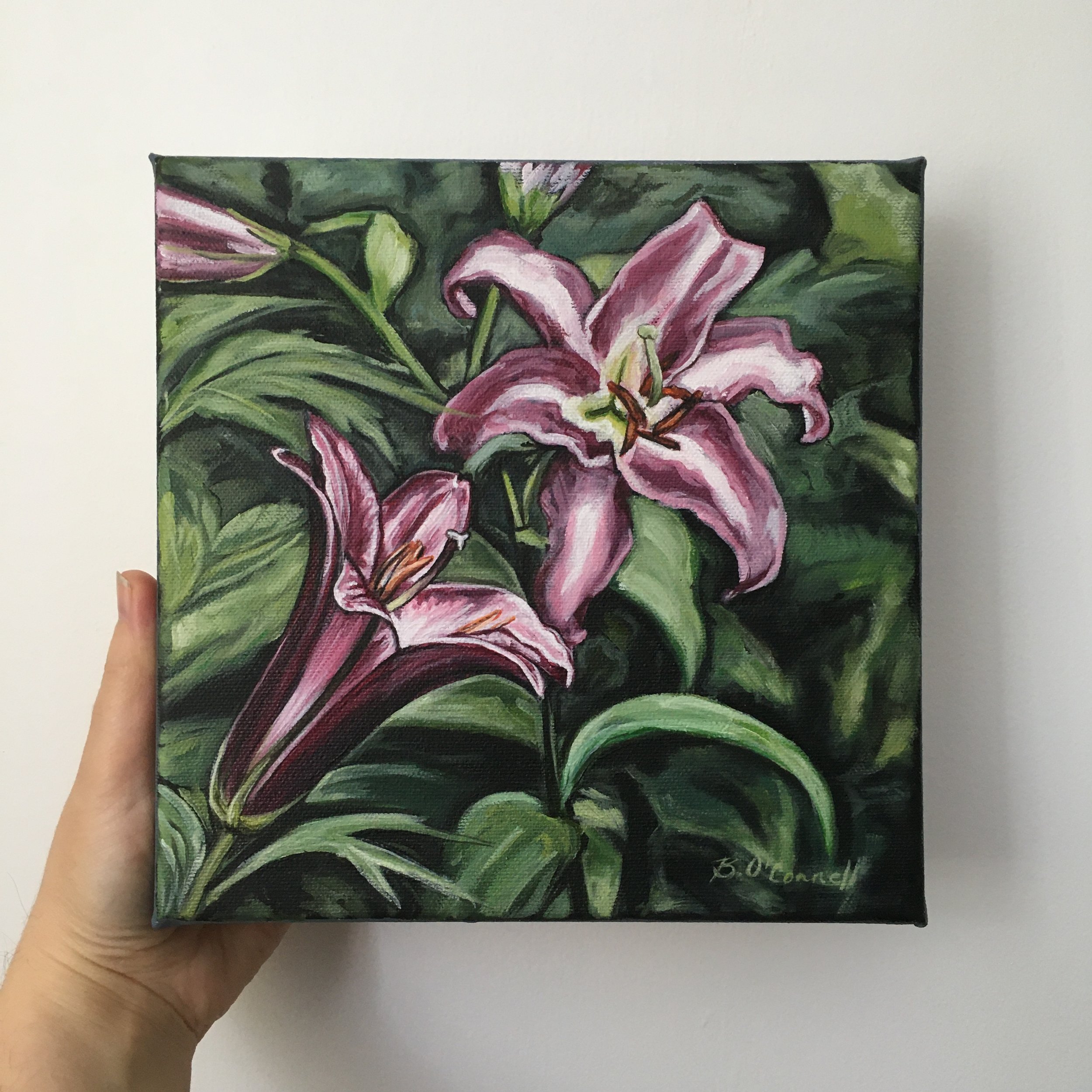 Current & Upcoming Exhibitions — Brooke O'Connell