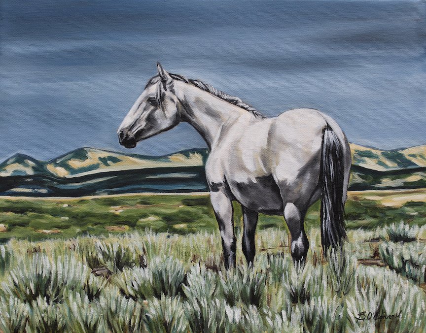 Wyoming's Wild Horses Art Shop, collection of 12 original artworks by ...