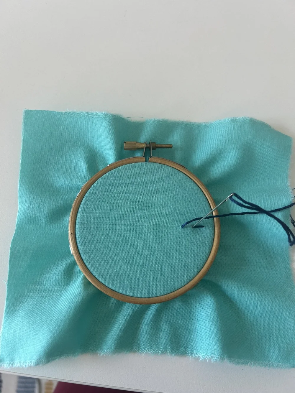 Backstitch Embroidery DIY — Make It Work