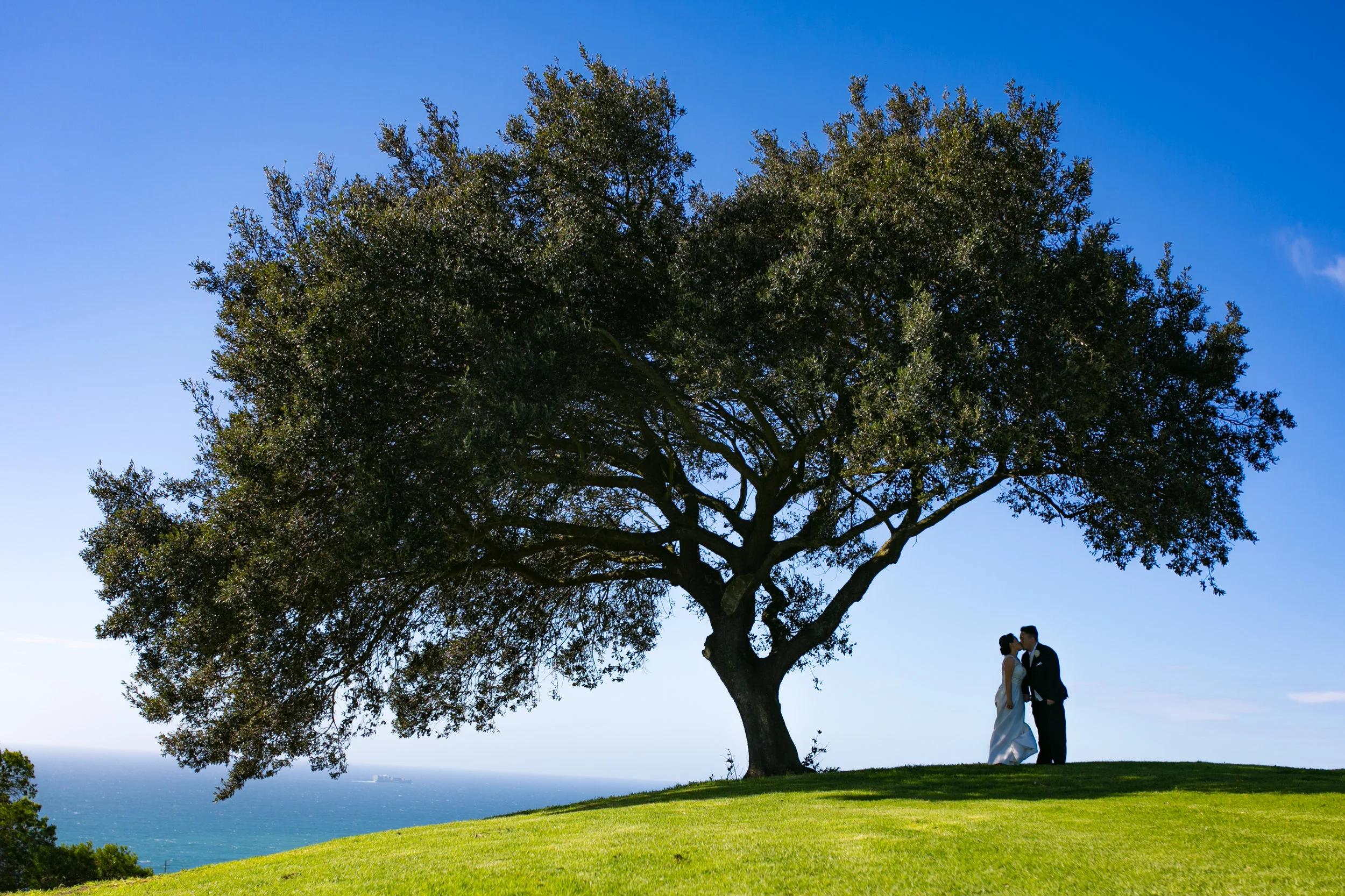 Nathan Lau Photography