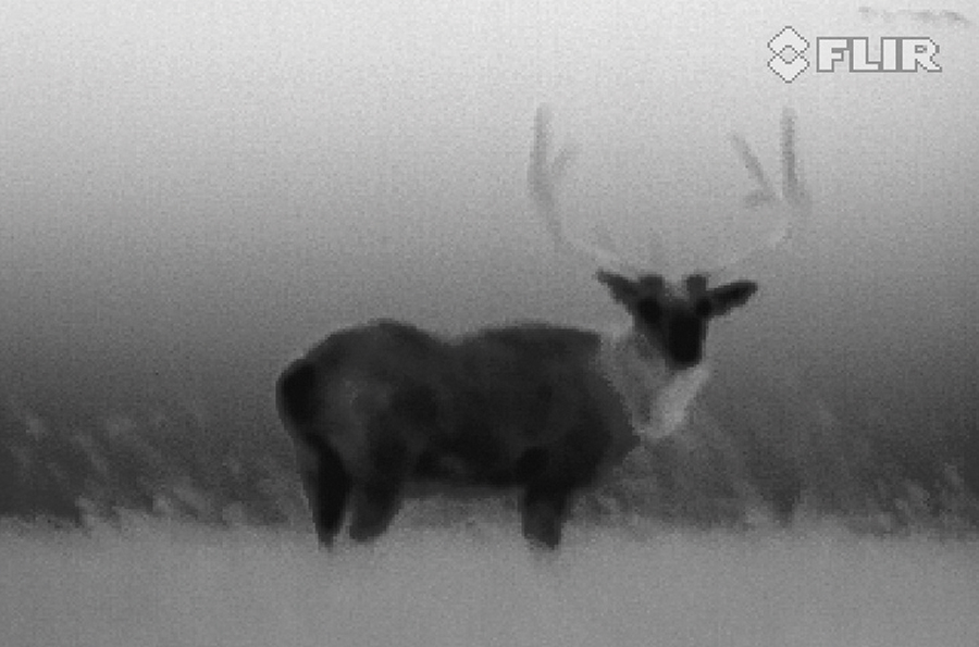 Thermal Palettes Explained | How to Choose the Best Palette ...