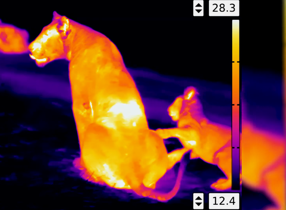 Thermal Imaging in TV and Film | Thermascan — Thermascan Ltd