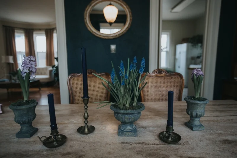 Our Flower House — Honeysuckle Hollow