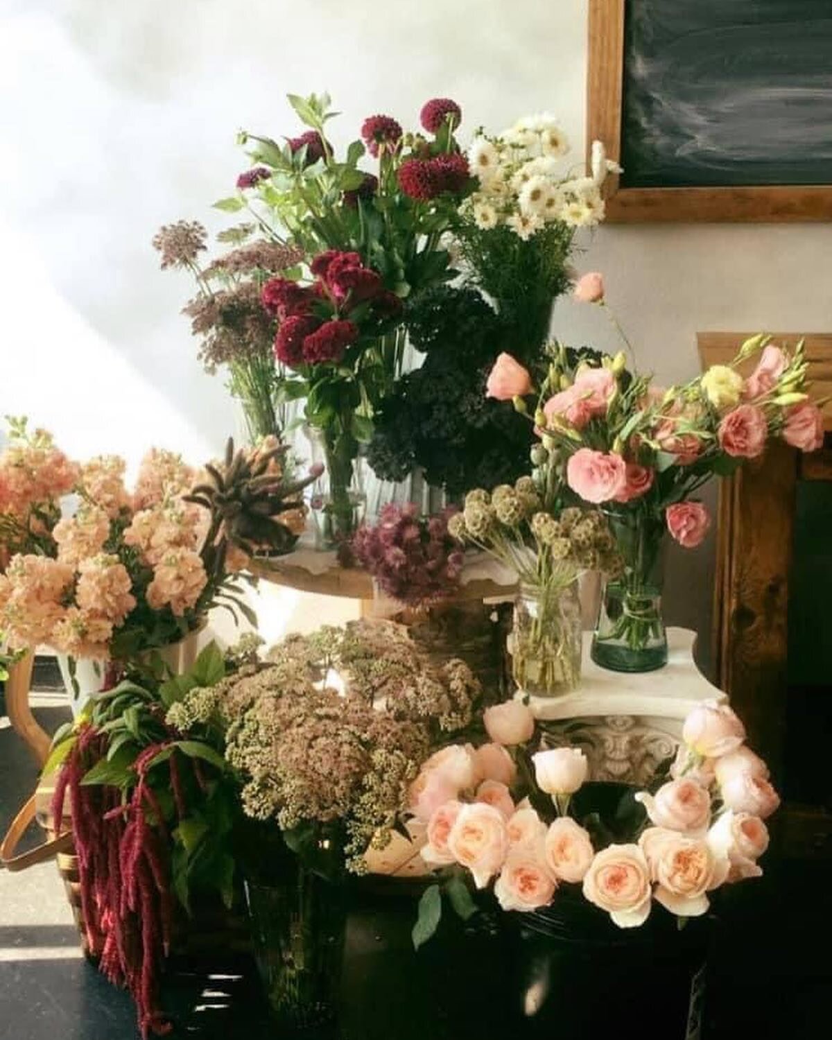 Our Flower House — Honeysuckle Hollow