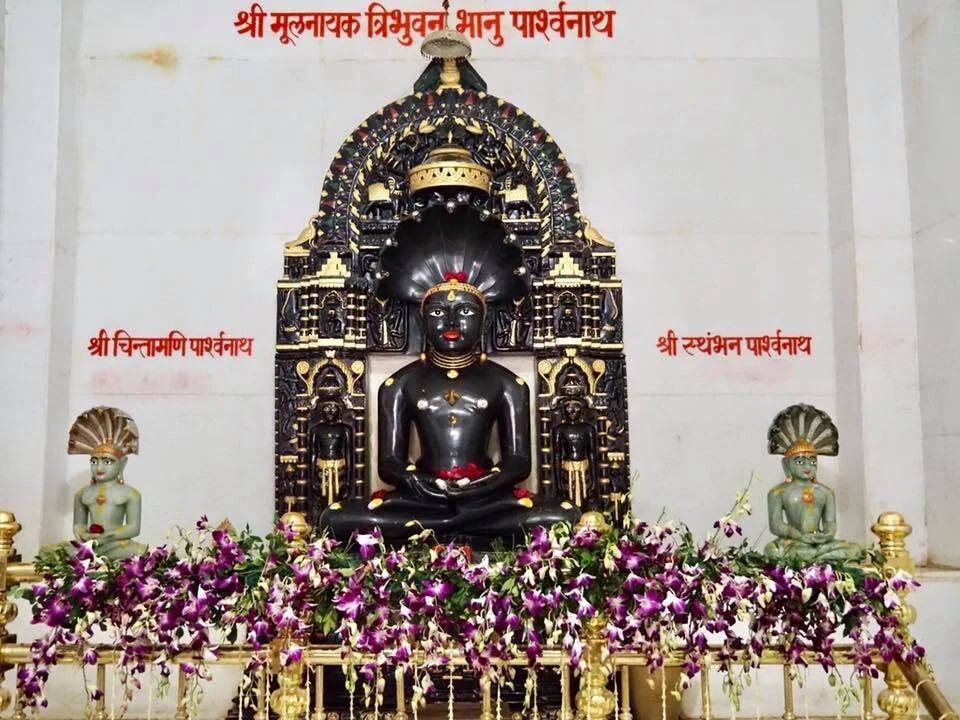 January Jatra 2020 — Shree Raj Saubhag