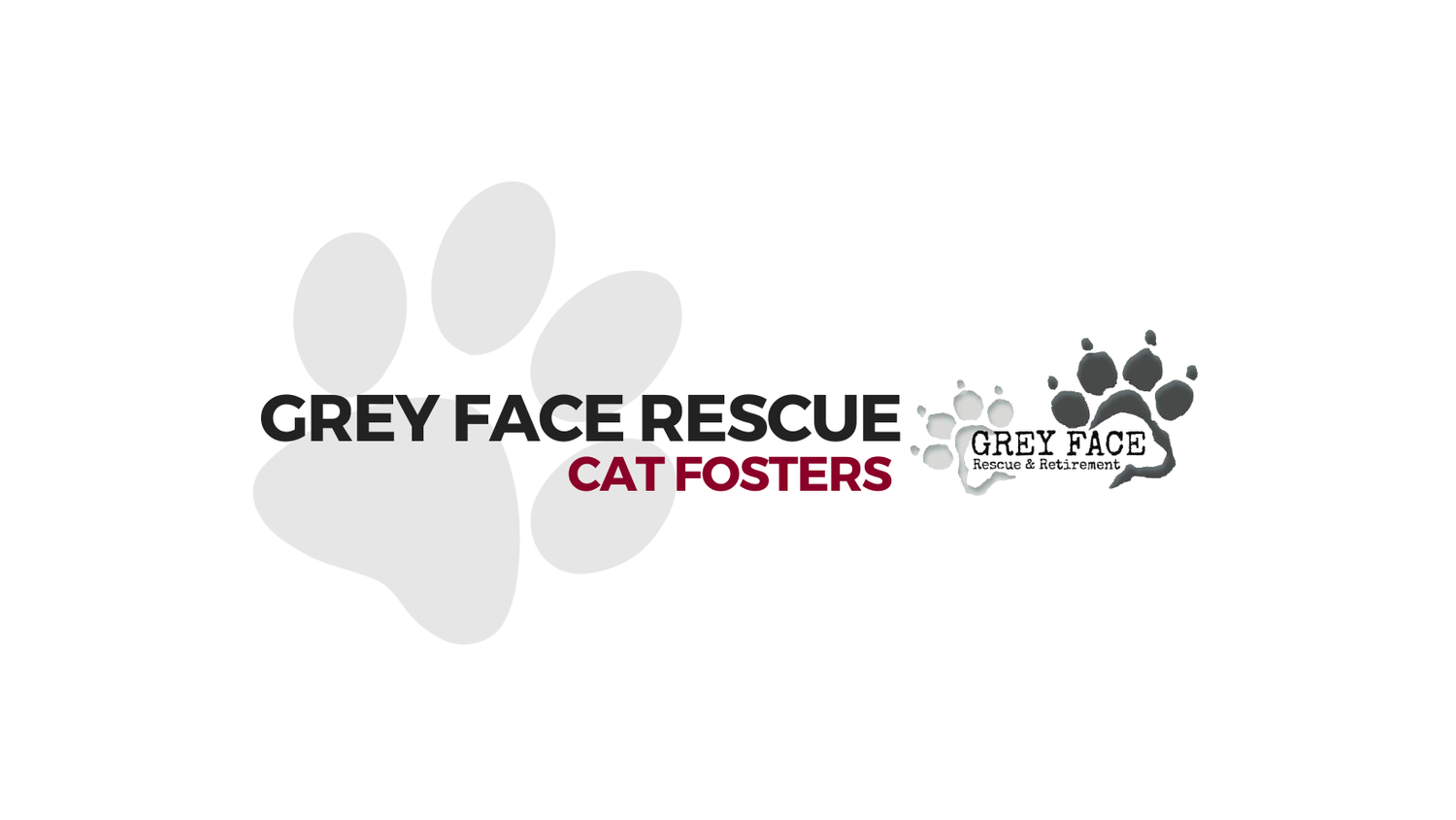 Cat Foster Requests — Grey Face Rescue & Retirement
