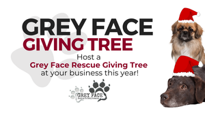 Giving Trees — Grey Face Rescue & Retirement