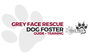 Grey Face Rescue Dog Foster Guide + Training — Grey Face Rescue ...