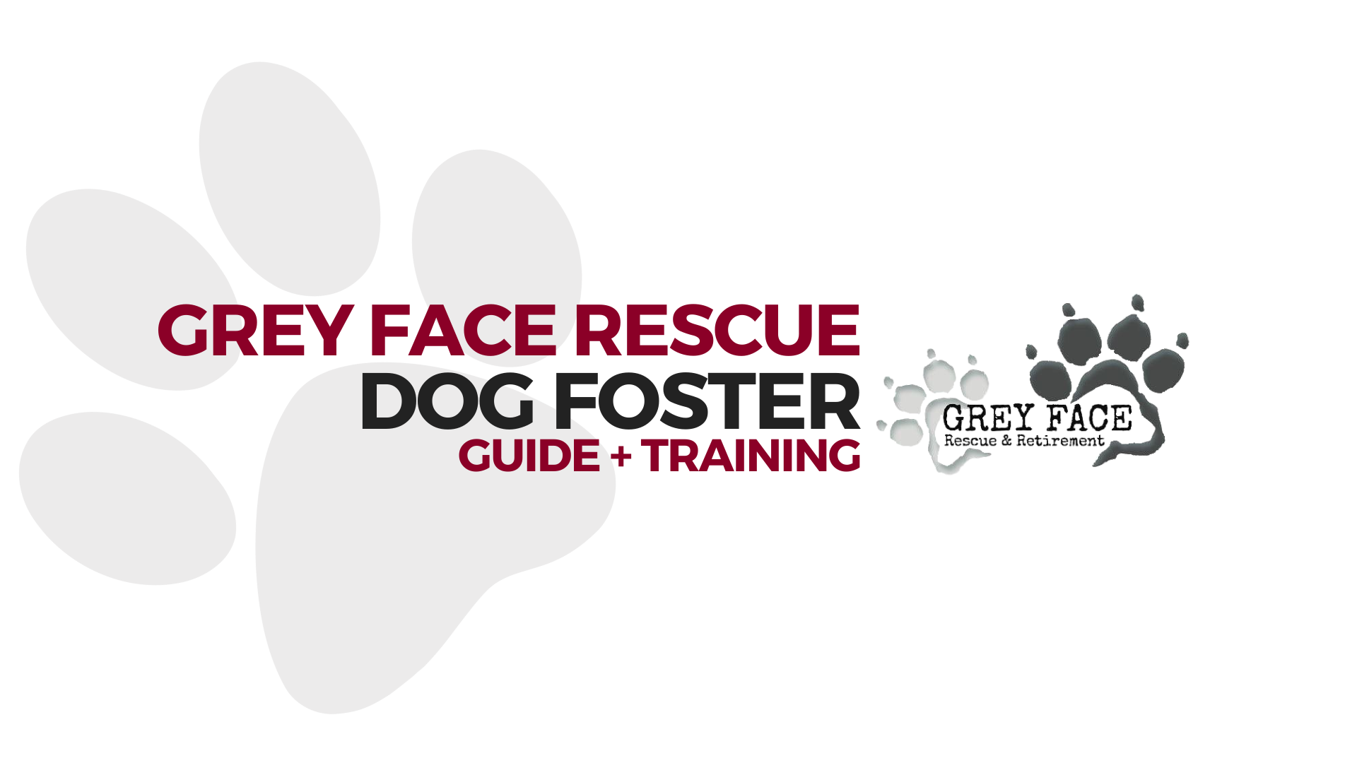 Grey Face Rescue Dog Foster Guide + Training — Grey Face Rescue ...