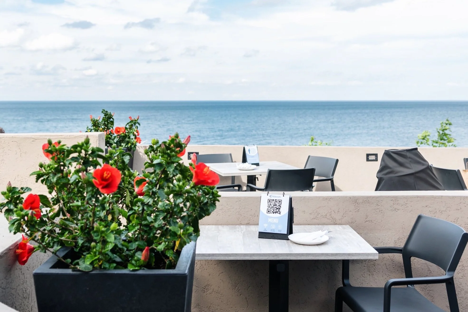 Contact Us — Barangas