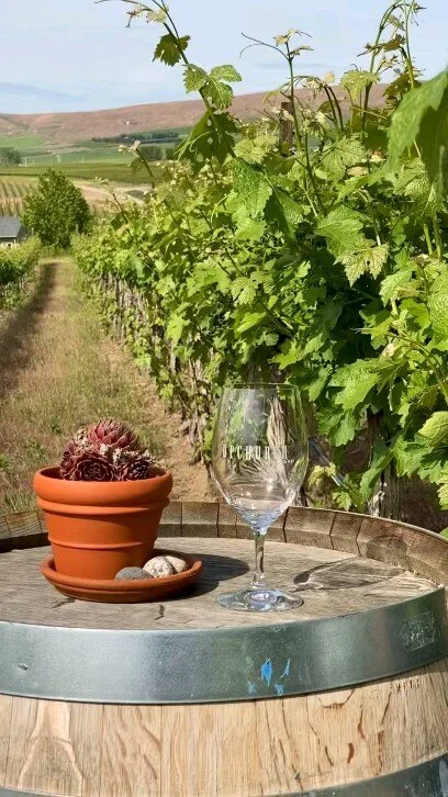 Red Mountain AVA – Home to Washington's Best Wine Grapes