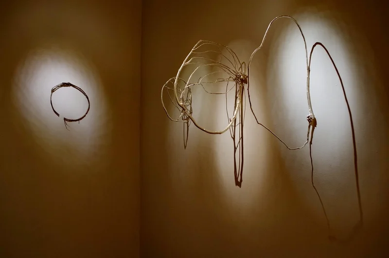 Michael RiddleContemporary art