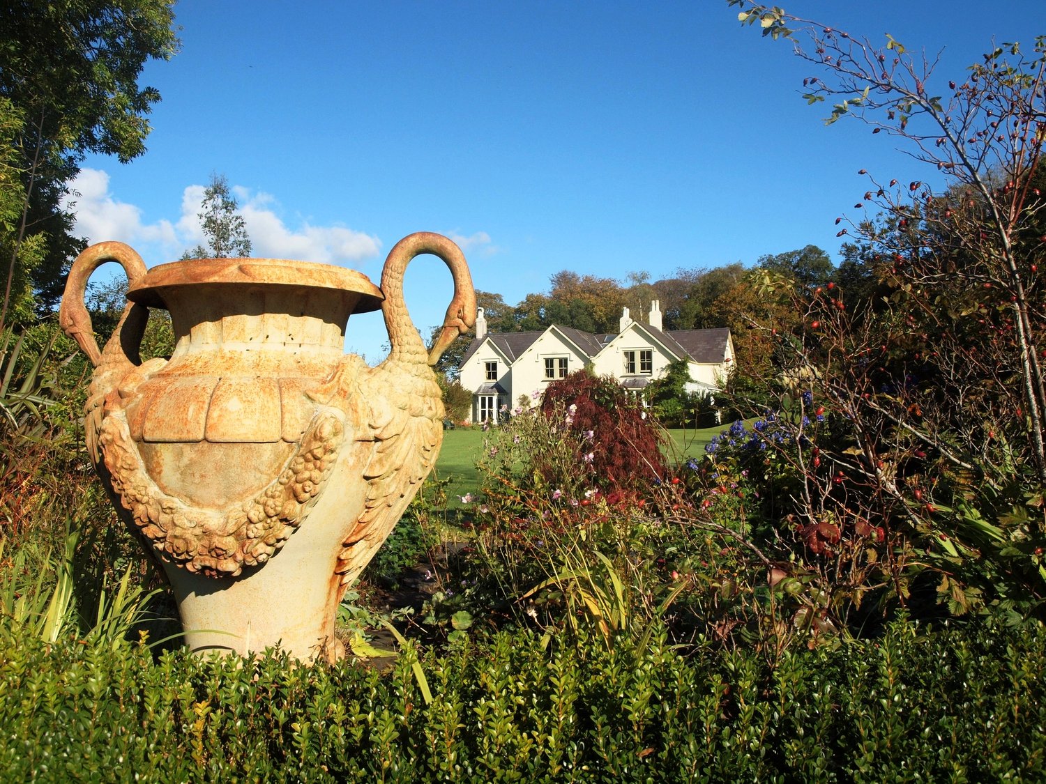 Home — Treffos School