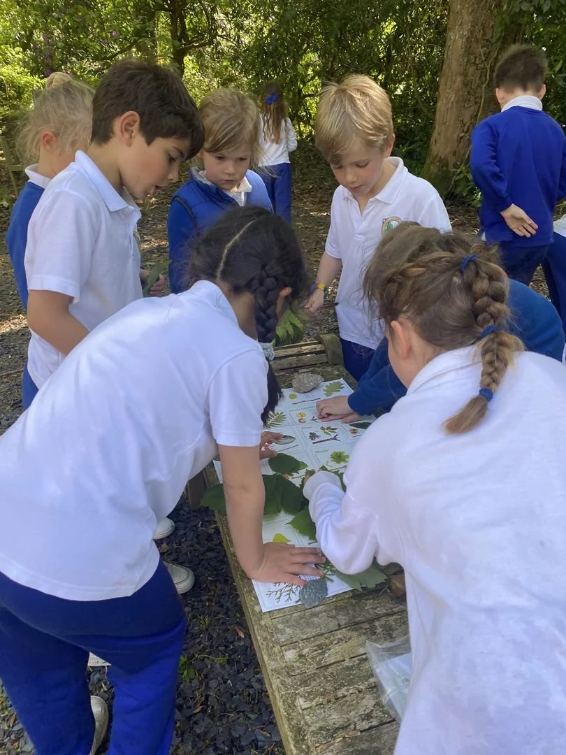 Our Curriculum — Treffos School