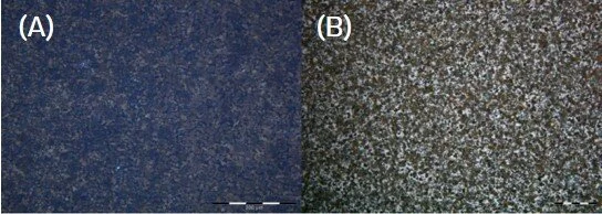MALDI Mass Spectrometry Imaging of lipids in positive and negative ion ...