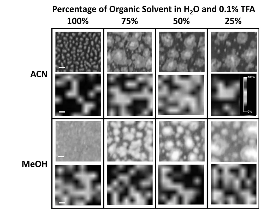 Silver Nitrate Spraying Protocol for Silver-Assisted Laser Desorption ...