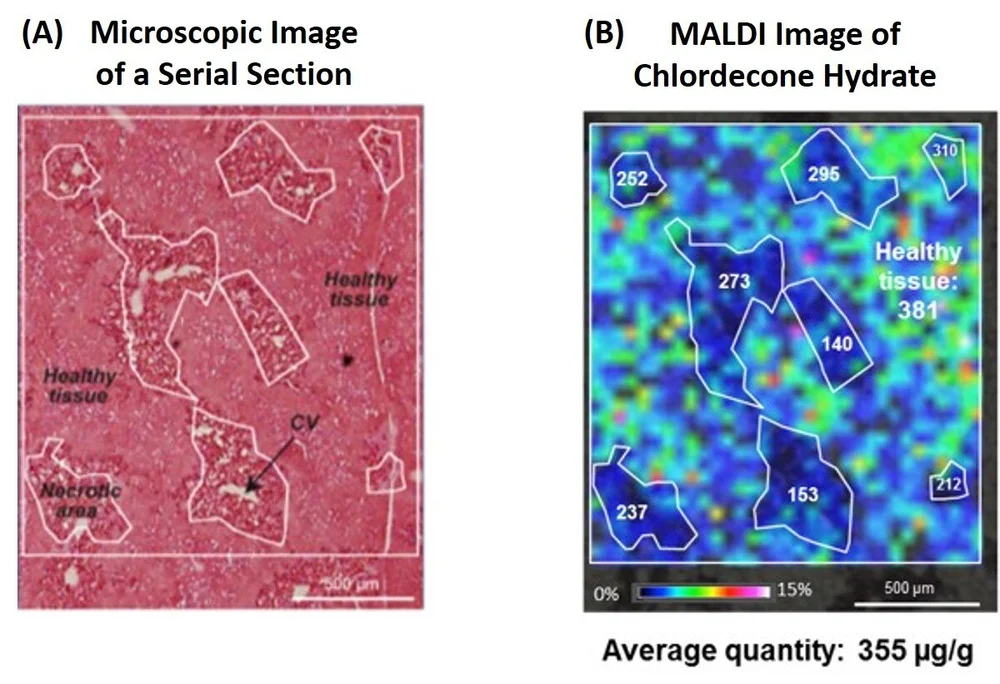 MALDI Mass Spectrometry Imaging of an Organochlorine Pesticide in ...