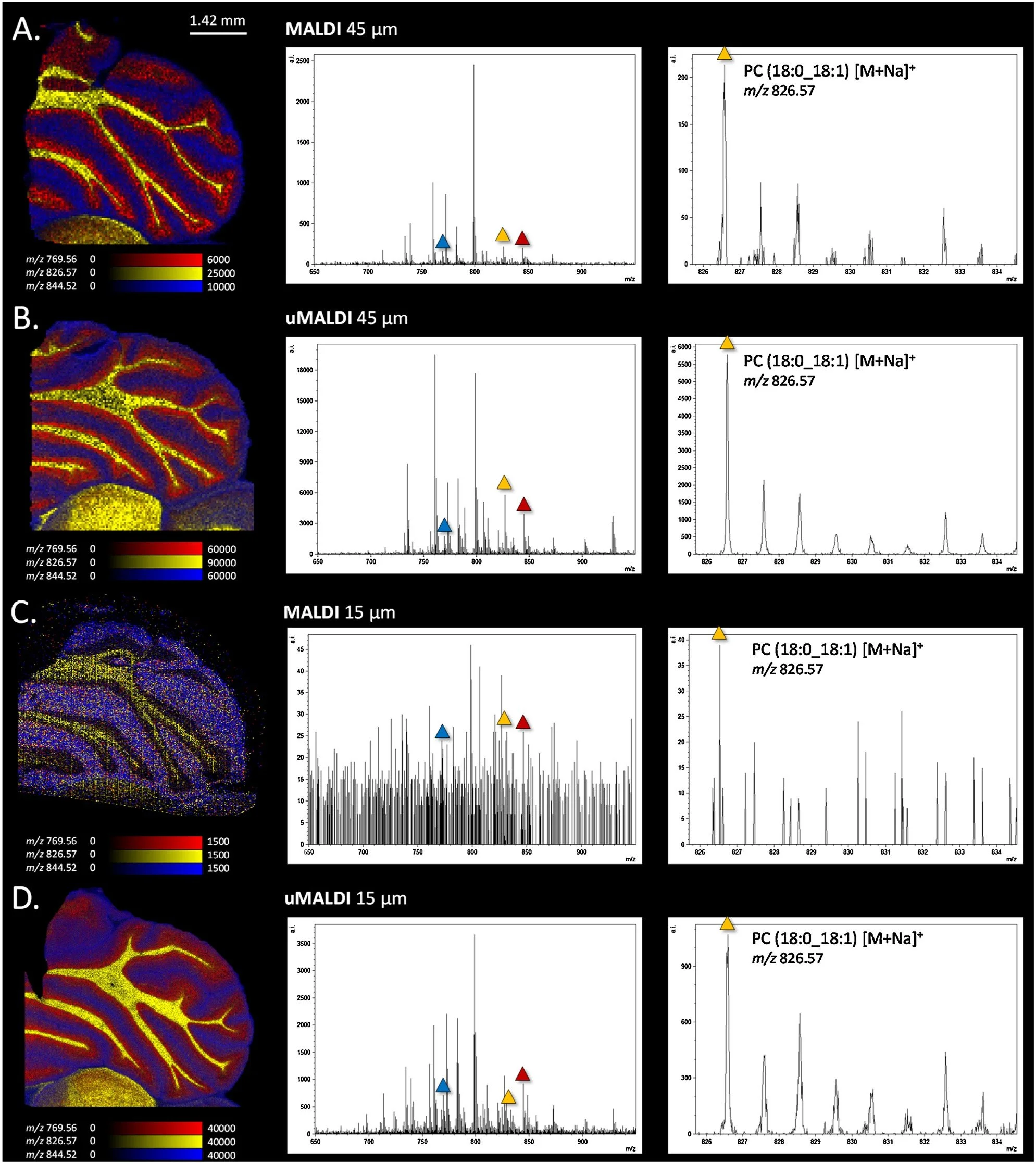 HTX AN-48 High-speed and High-Resolution MSI — HTX Imaging