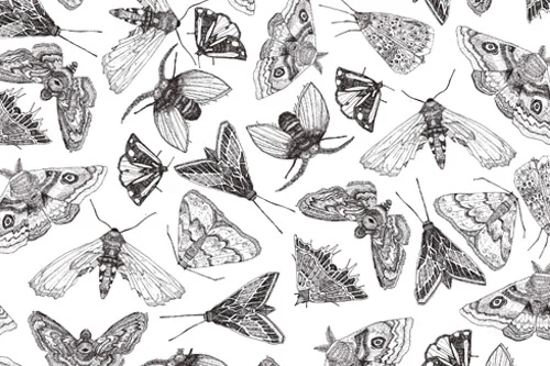 Featured Artist Interview: Gavin Rutherford — Patternbase