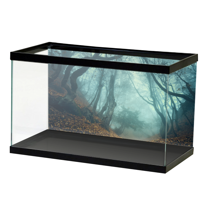 Forest Path Background — Aquarium Vinyl