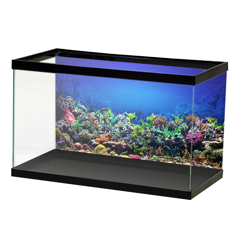 Empty Fish Tank Background