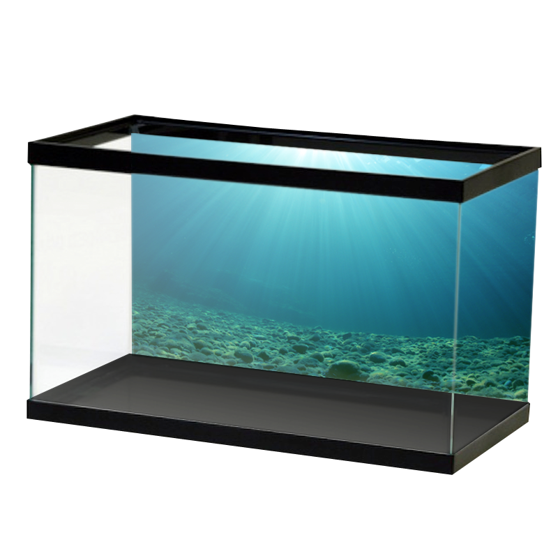 Empty Fish Tank Background