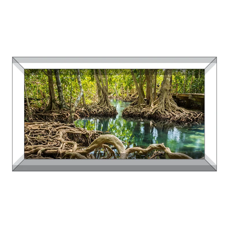 Swamp Fish Tank