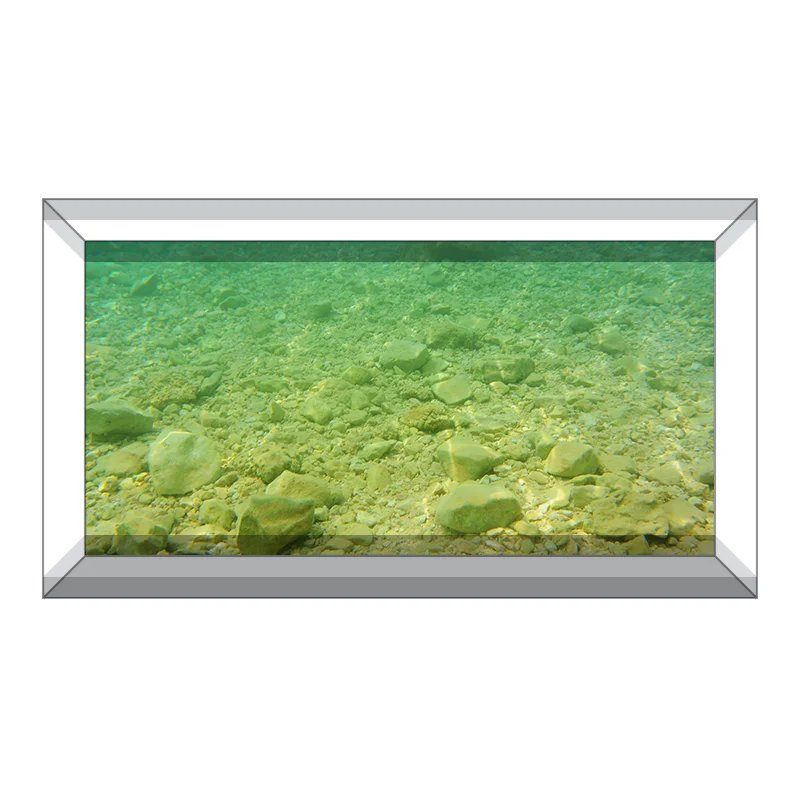 Freshwater Tank Backgrounds — Aquarium Vinyl