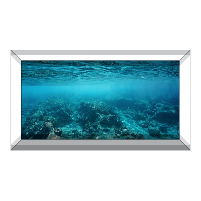 Tidal Pool Background — Aquarium Vinyl