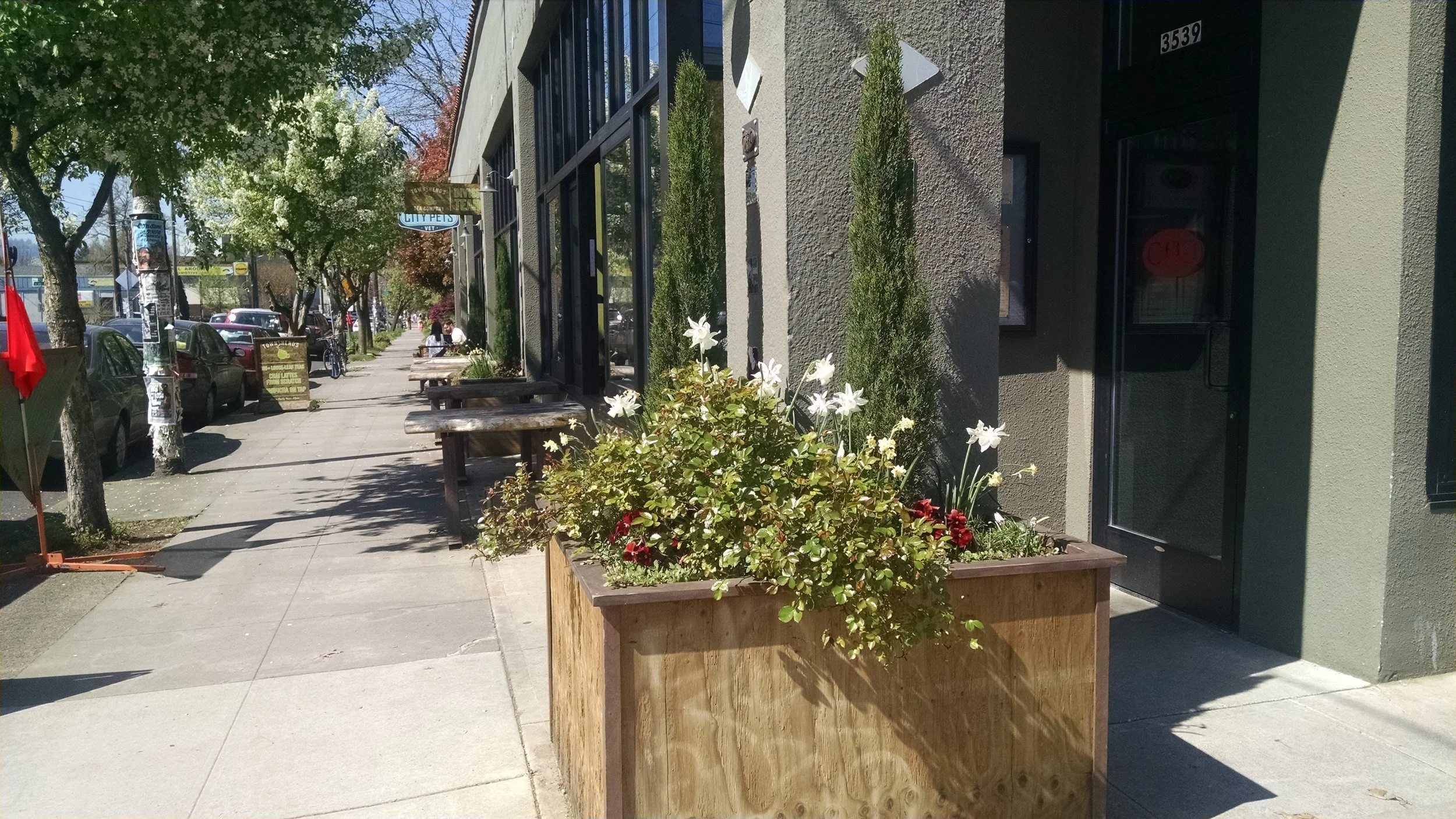 Container Plantings Gallery — Flora Fina Gardens