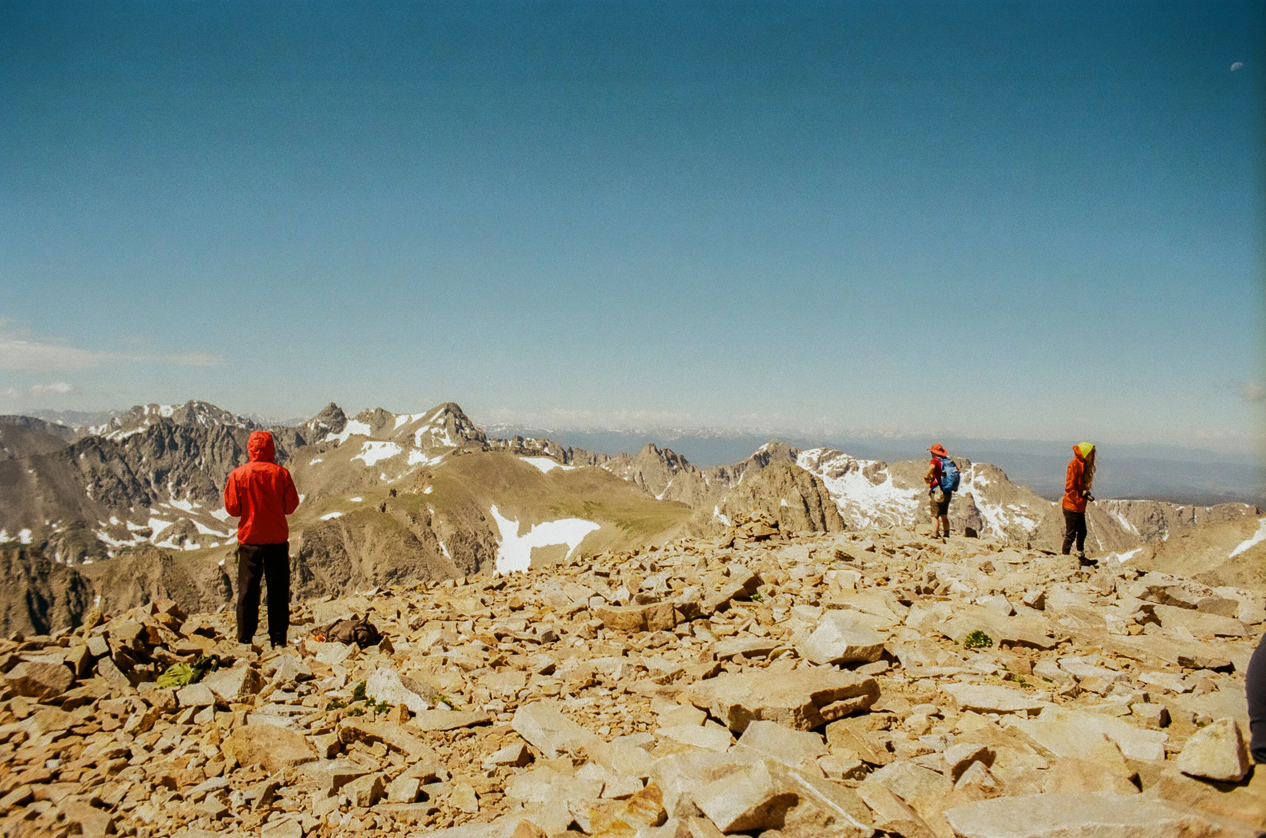 zain alexander iqbal