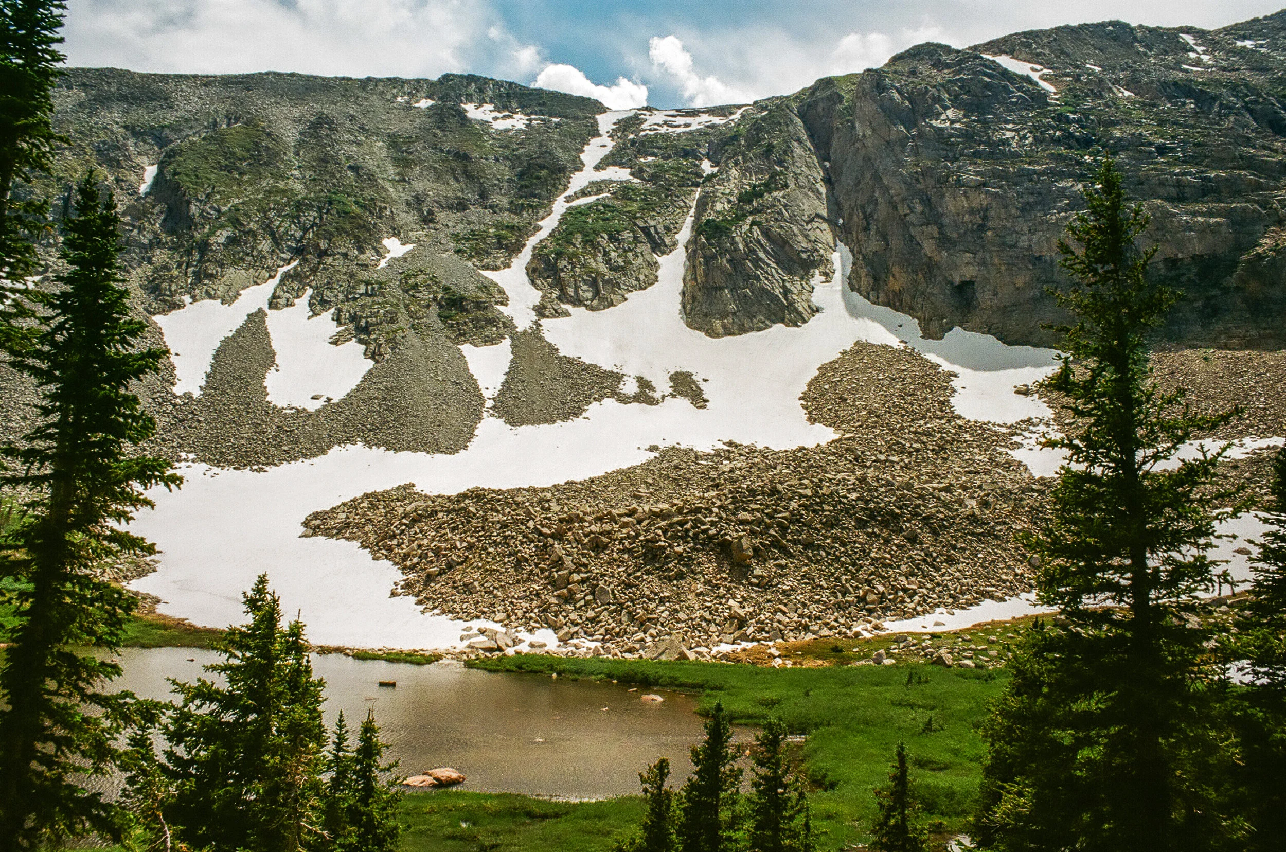 zain alexander iqbal